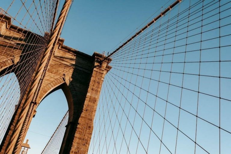 BDO Knowledge Guide | Master Black Desert Online | Chassi Friends